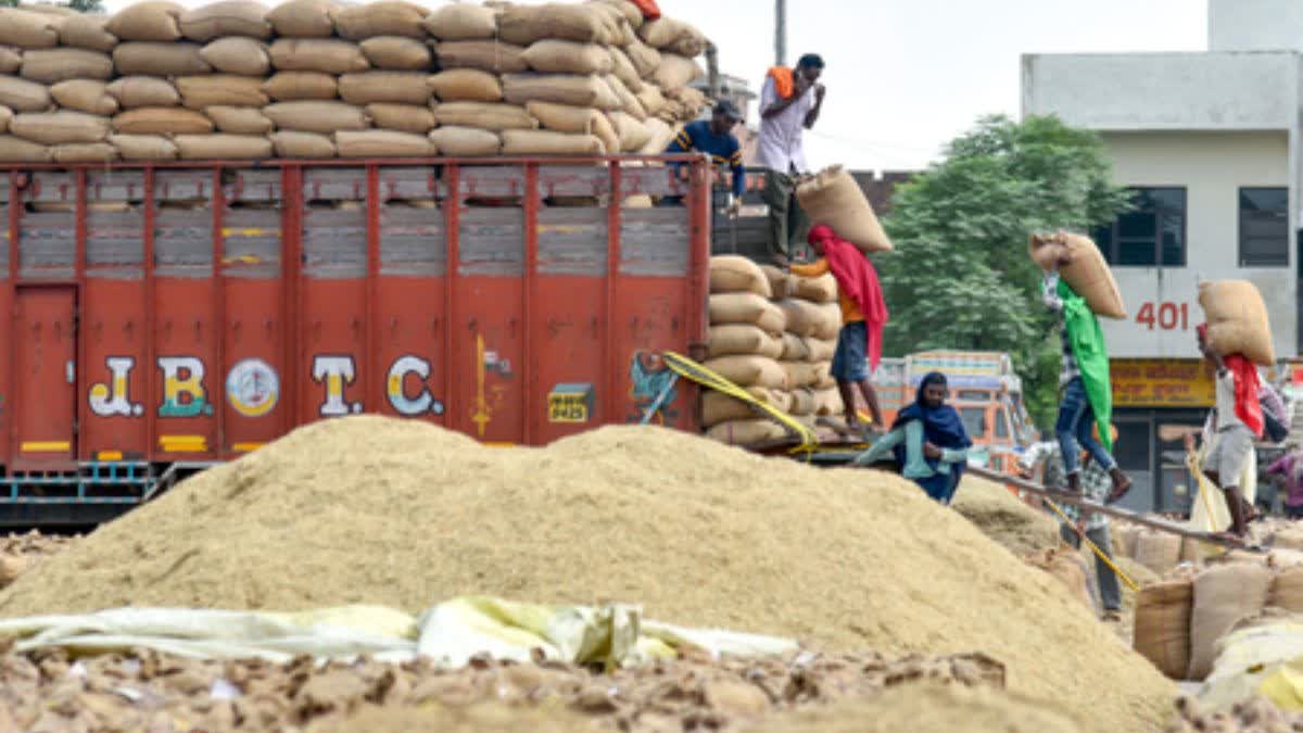 राशन वितरण में बड़ा बदलाव, मोदी सरकार लाई सार्थक-PDS योजना, जानें ...