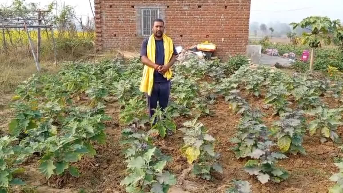 सिस्टम की लापरवाही पर हौसला भारी, डीजल पंपिंग सेट से बंजर जमीन को बना ...