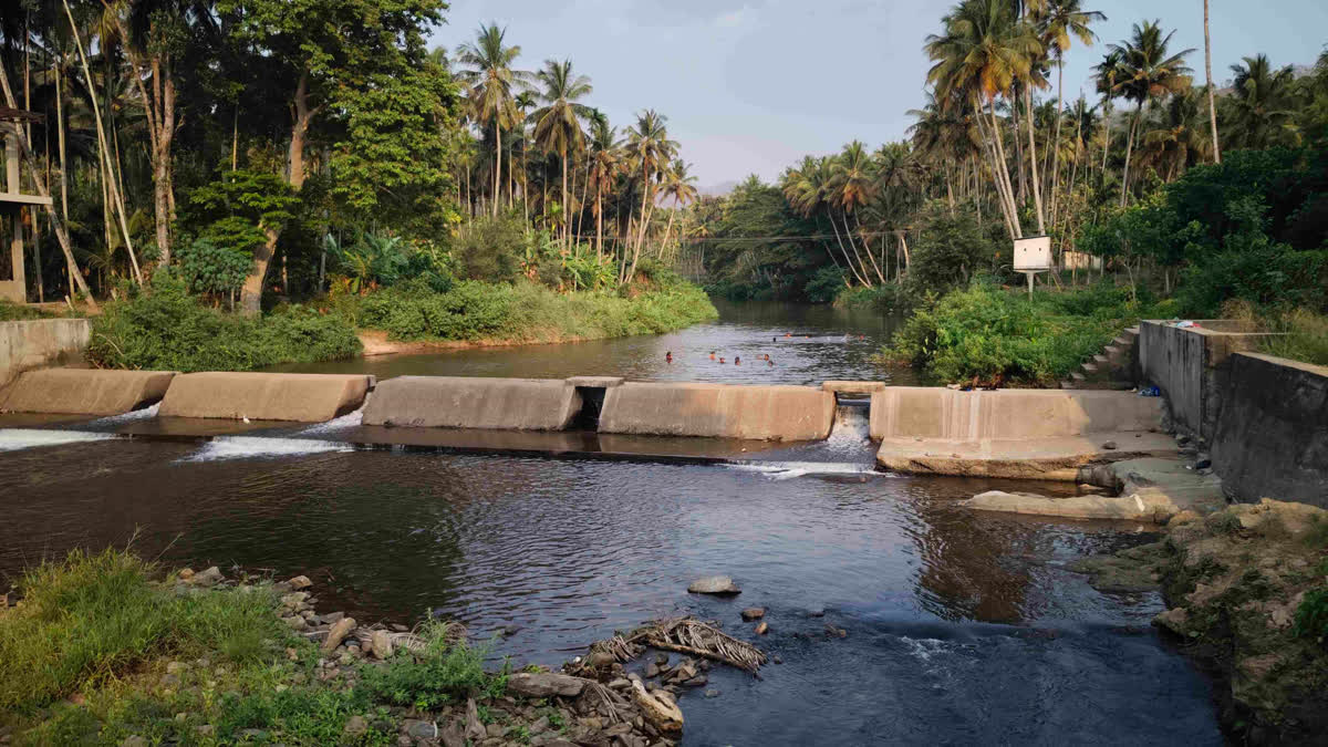 Kerala Panchayats Ban River Bathing Along Tamil Nadu Border Amid Water ...