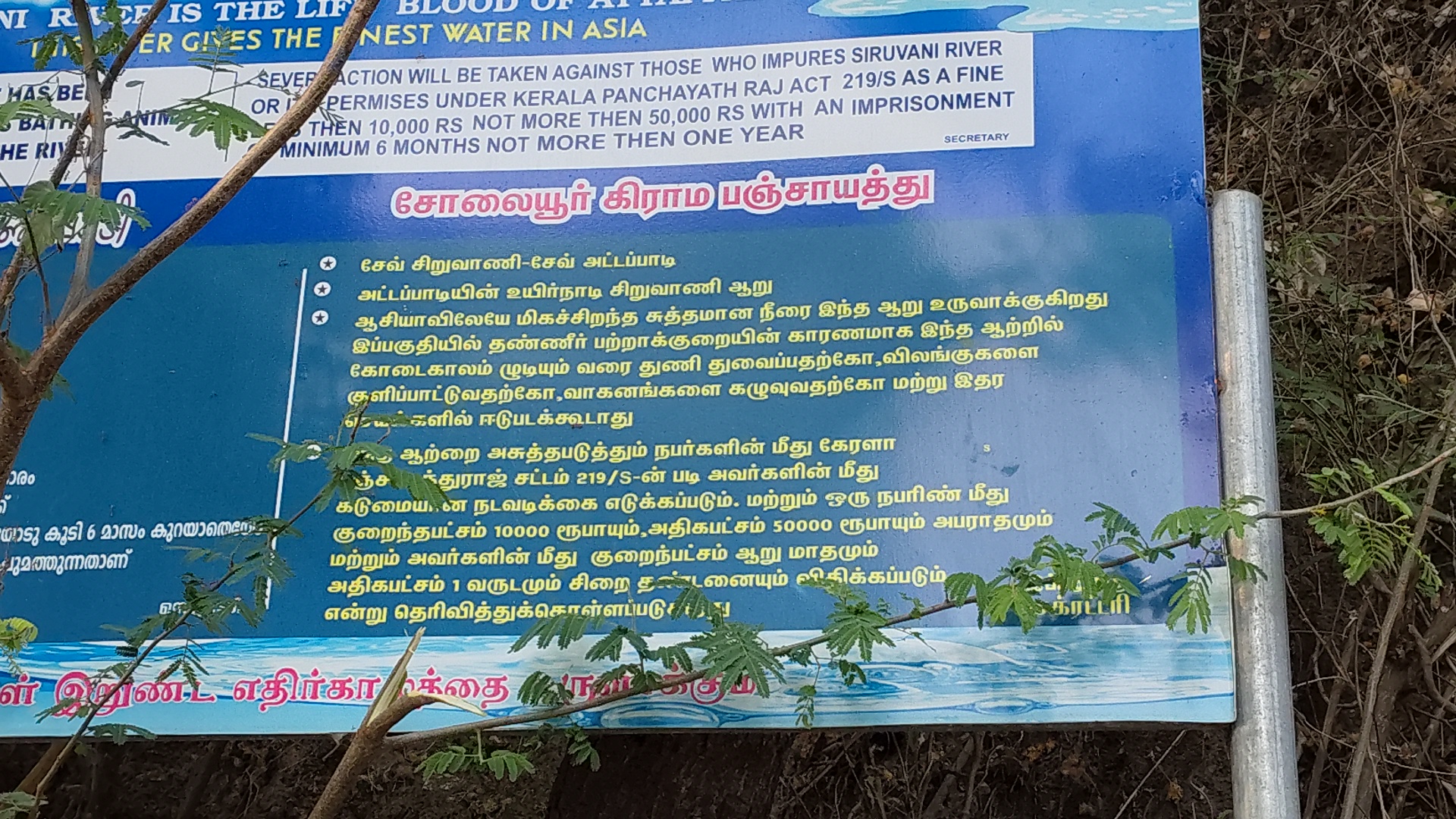 Kerala Panchayats Ban River Bathing Along Tamil Nadu Border Amid Water ...