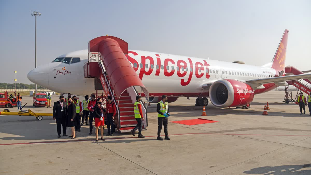 SpiceJet Unveils 32 New Flights In Winter Expansion; Check New Domestic ...