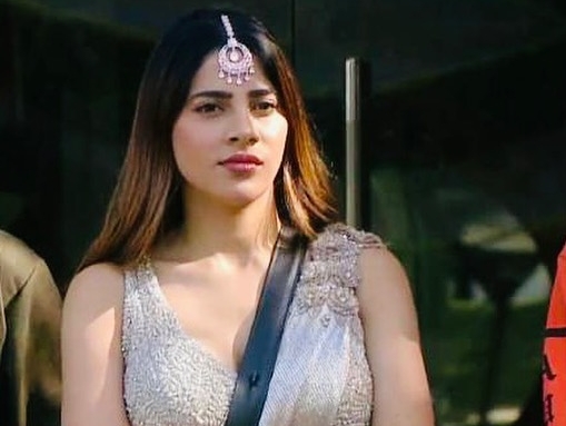 From Telugu Cinema To Big Boss 14: The Rise And Transformation Of Nikki ...