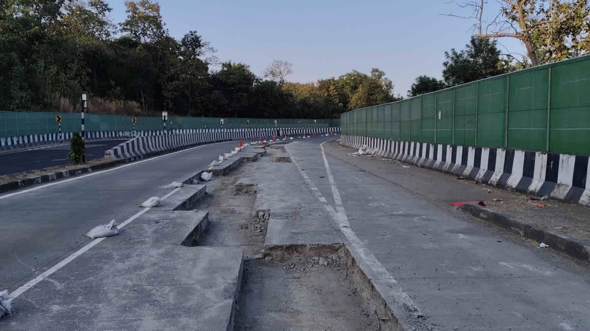 Nation's First Sound-Proof Highway In MP's Pench Reserve Damaged ...