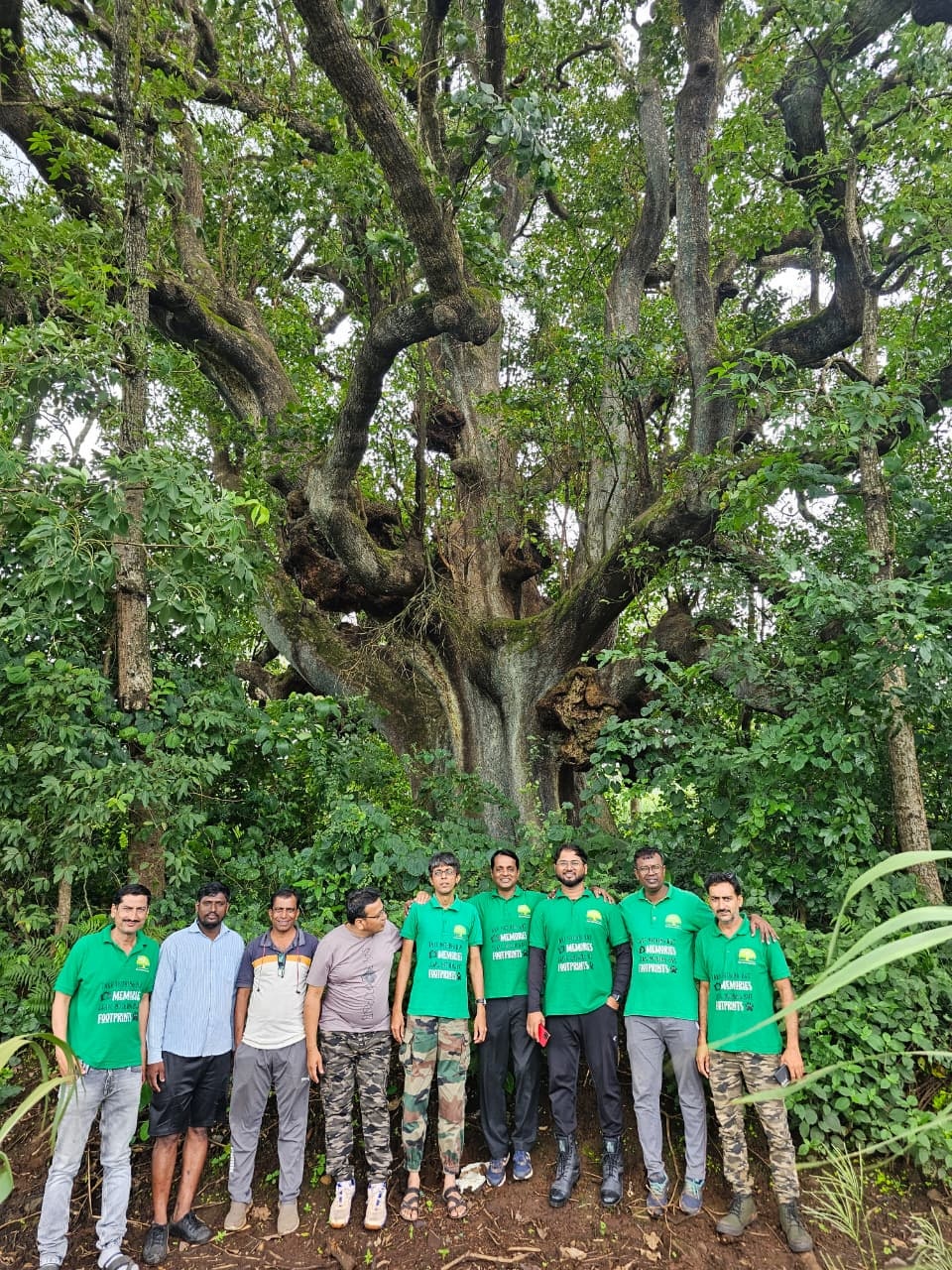 600-Year-old 'Behda' Tree Is Attracting Foreign Visitors