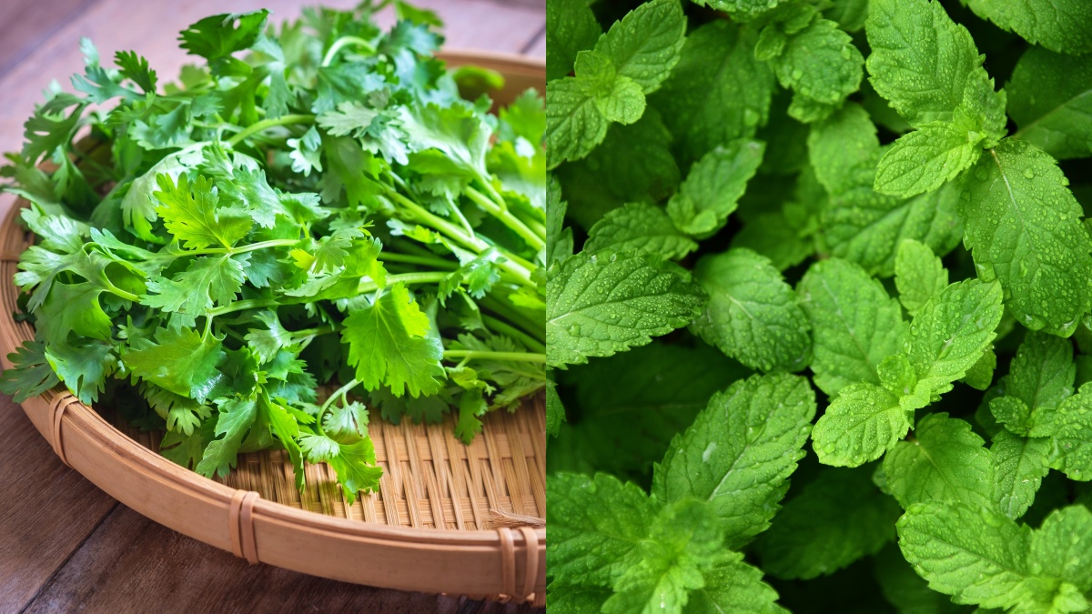 ఘుమఘుమలాడే "నల్ల శనగల పులావ్ " - కిర్రాక్ రుచి - లంచ్ బాక్స్ ల్లోకి ...