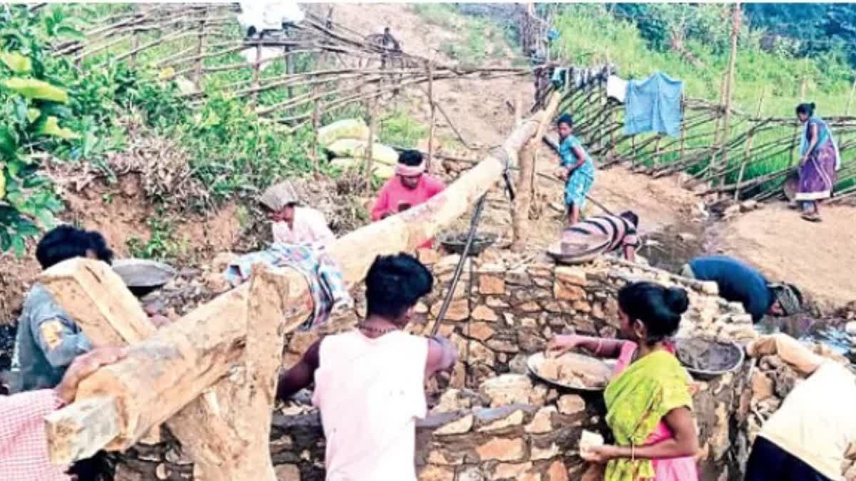 Andhra Pradesh: Tired Of Government Apathy, Parvathipuram Manyam ...