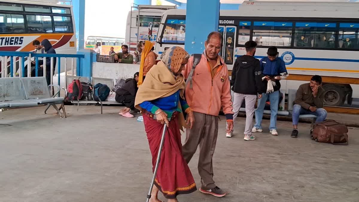 प ड म बस और ट क स व हन क थम पह ए इधर उधर भटकत रह सव र