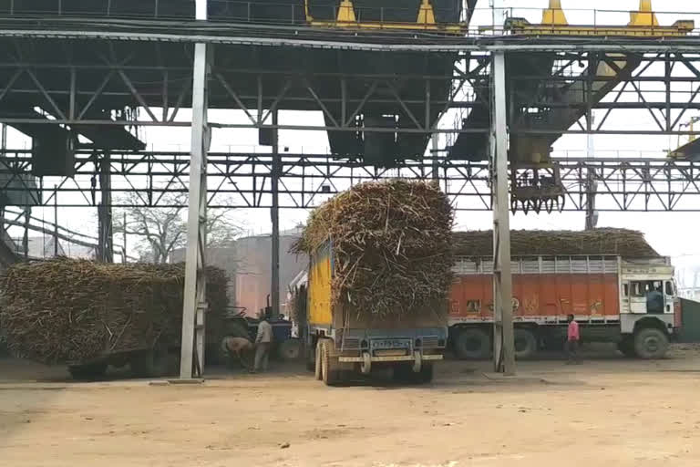 Bihar Govt Launches Major Initiative To Revive Sugar Mills And Create Jobs