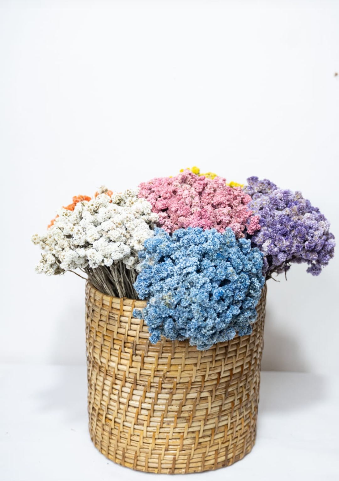 Manipur Startup Dianthe Wins Climate Innovation Award For Eco-Friendly ...