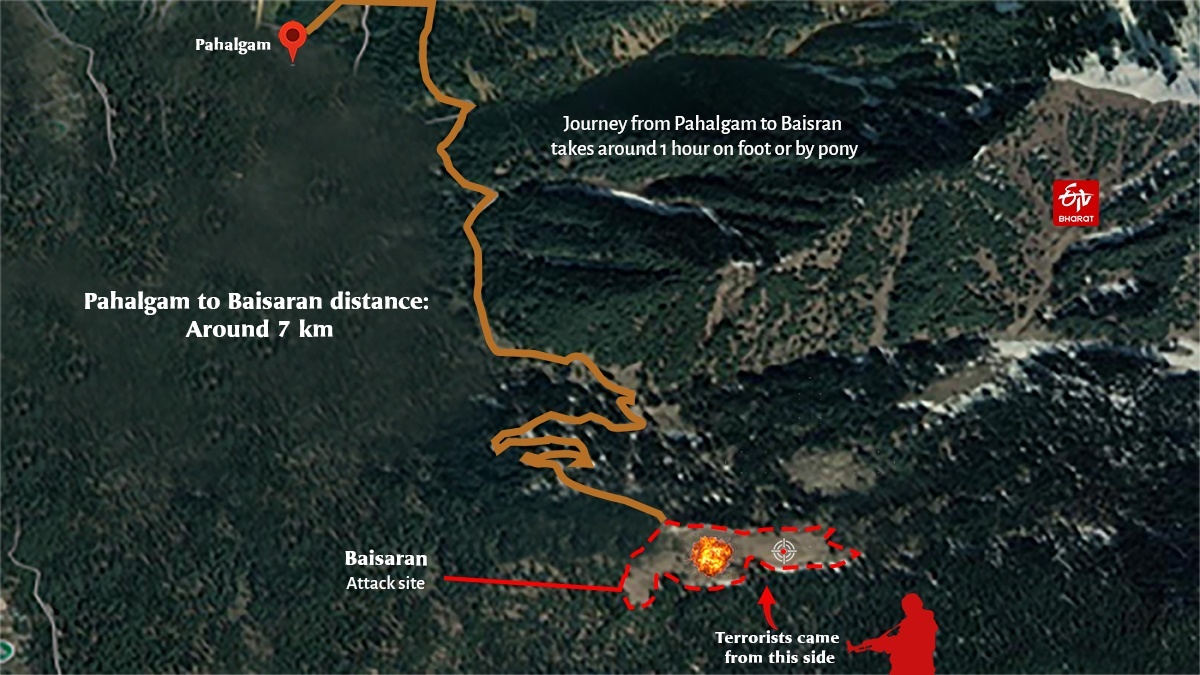 Yearender 2025 | Pahalgam Terror Attack: 26 Victims, A Bloodbath And ...