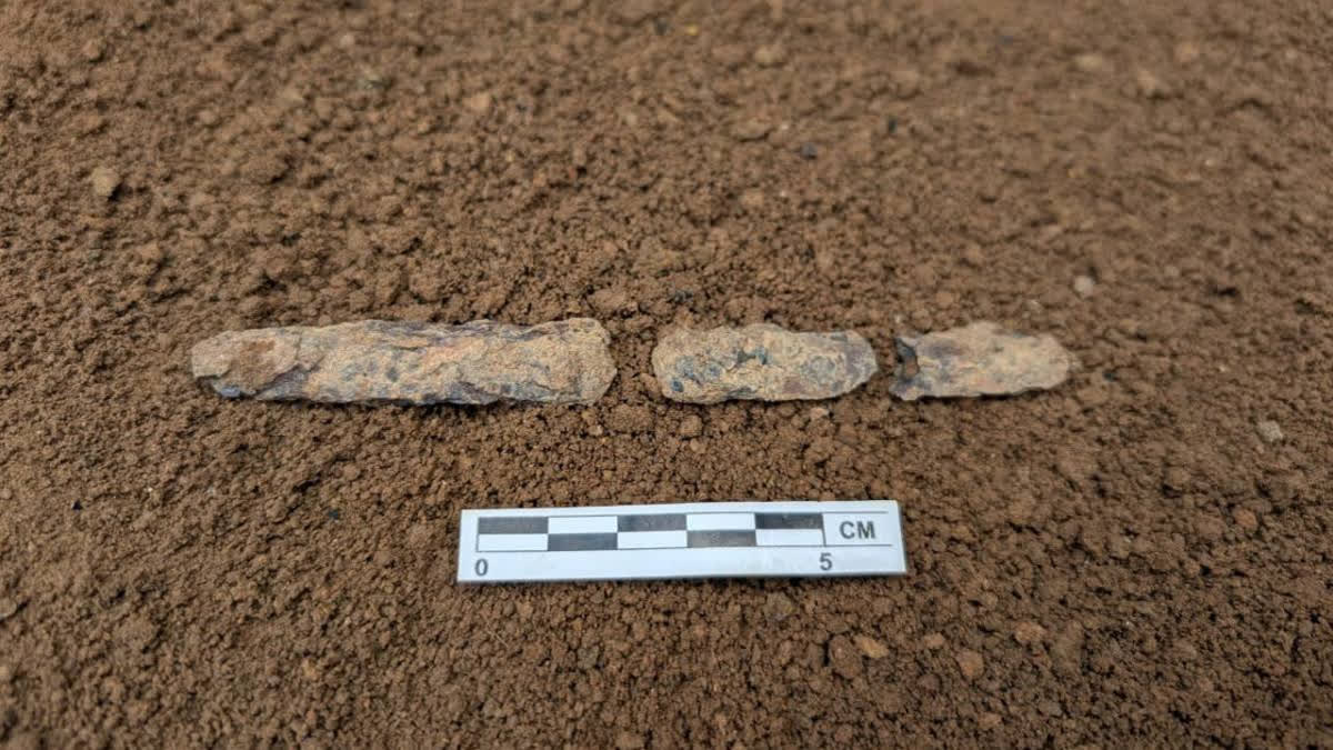 Archaeologists Discover Iron Knife In Cuddalore Excavations At 257 Cm Depth