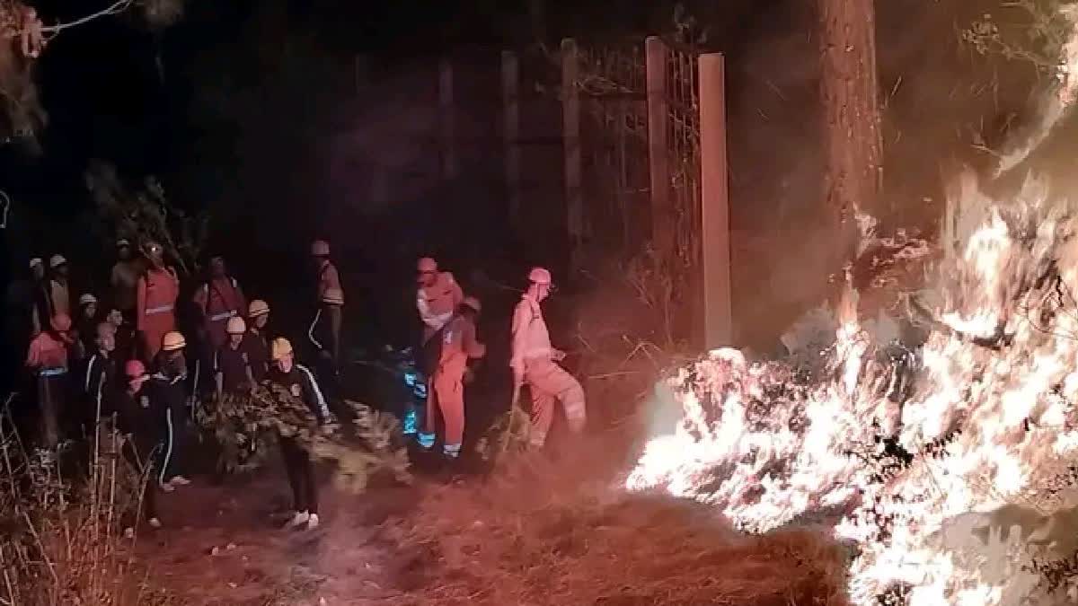 Uttarakhand Forest Department Flags Surge In False Fire Alerts ...