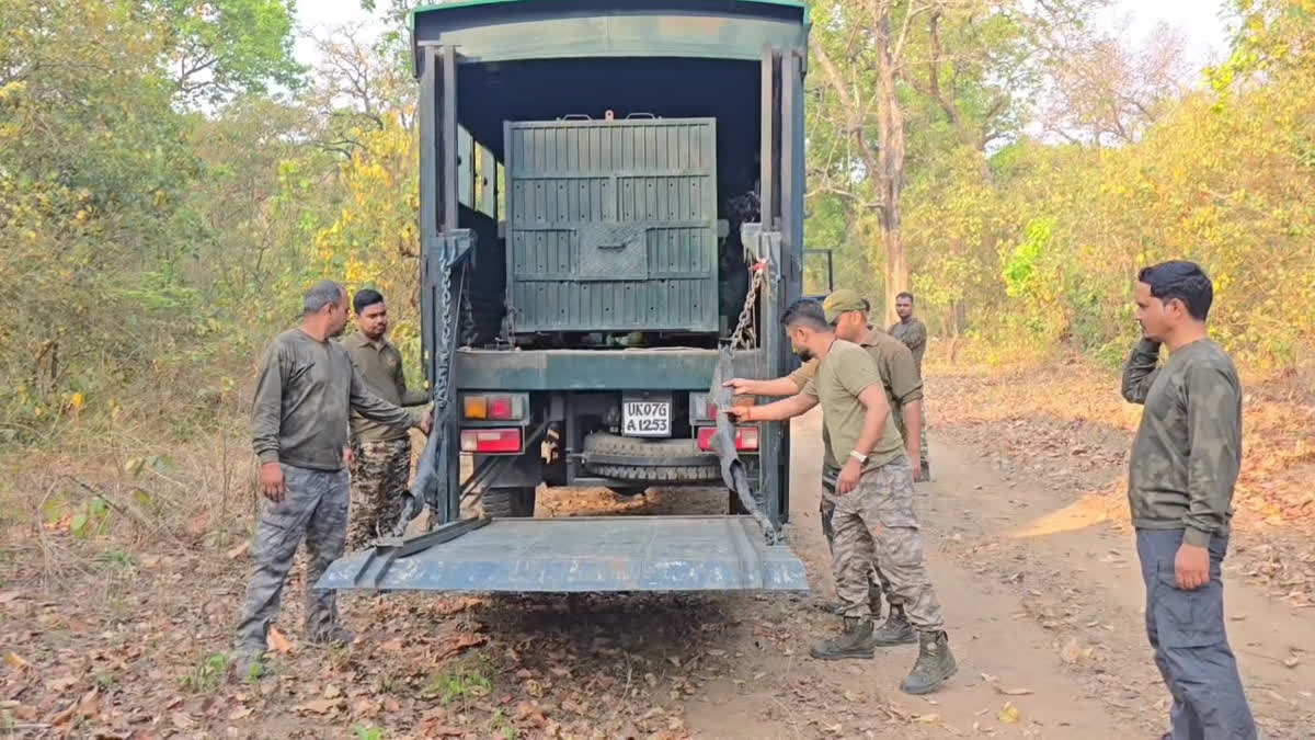Fifth And Last Tiger Shifted From Corbett Tiger Reserve To Rajaji ...