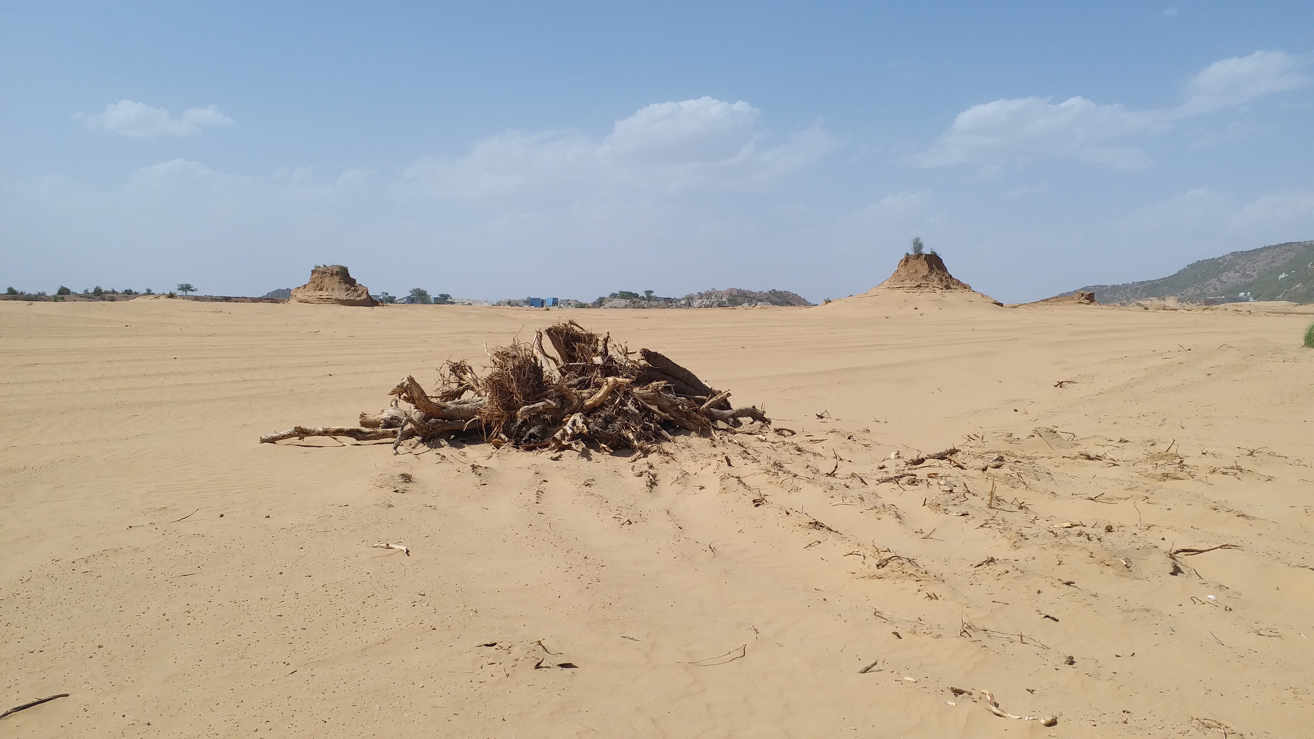 Rajasthan: Dadu Sect Saints Lead Fight To Save Forest Land Against ...