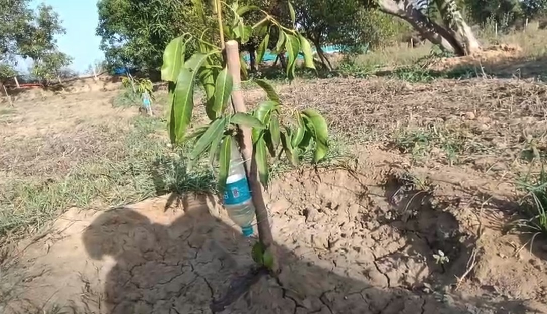 Women In Rural Shahdol Come Up With Innovative Use Of Discarded Plastic ...
