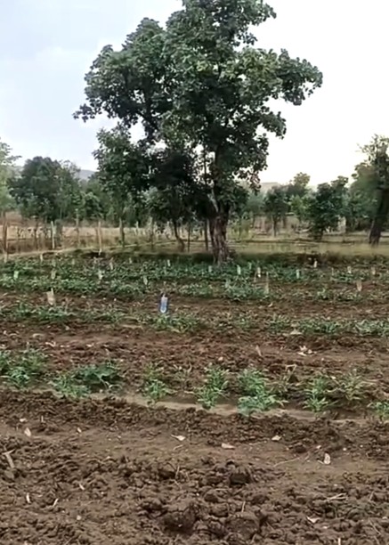 Women In Rural Shahdol Come Up With Innovative Use Of Discarded Plastic ...