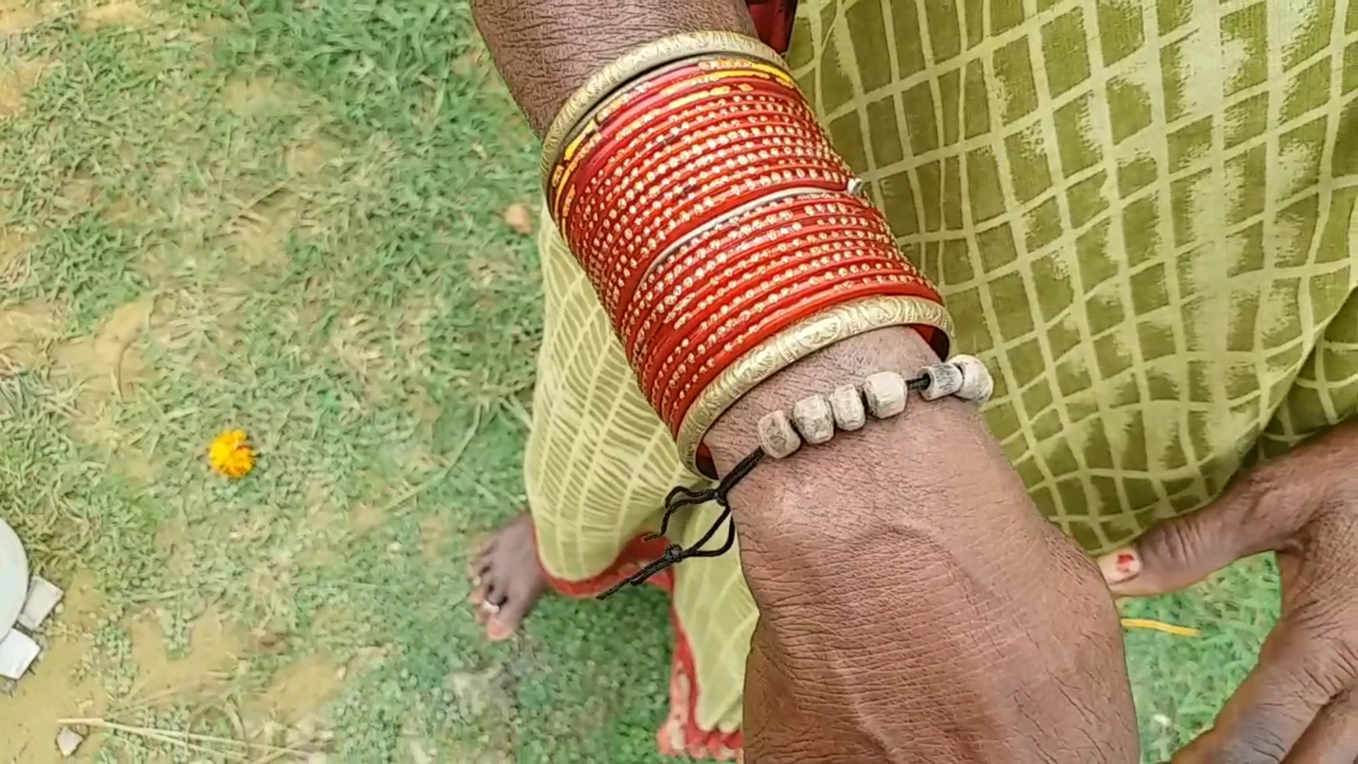 अंग्रेजों को चकमा देता था ये मैजिक पेड़, ऐसा क्या खास है जो फ्री में ...