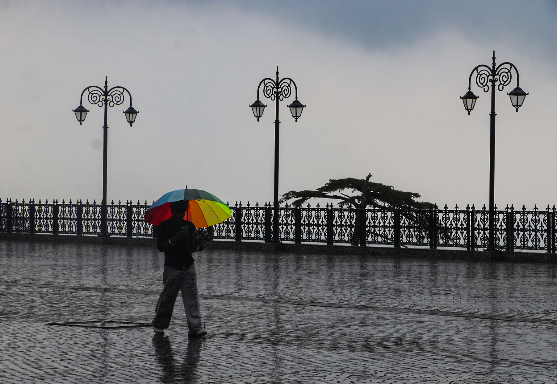 Despite Monsoon Advance, 78% Of India Faces Rainfall Deficit; IMD Warns ...