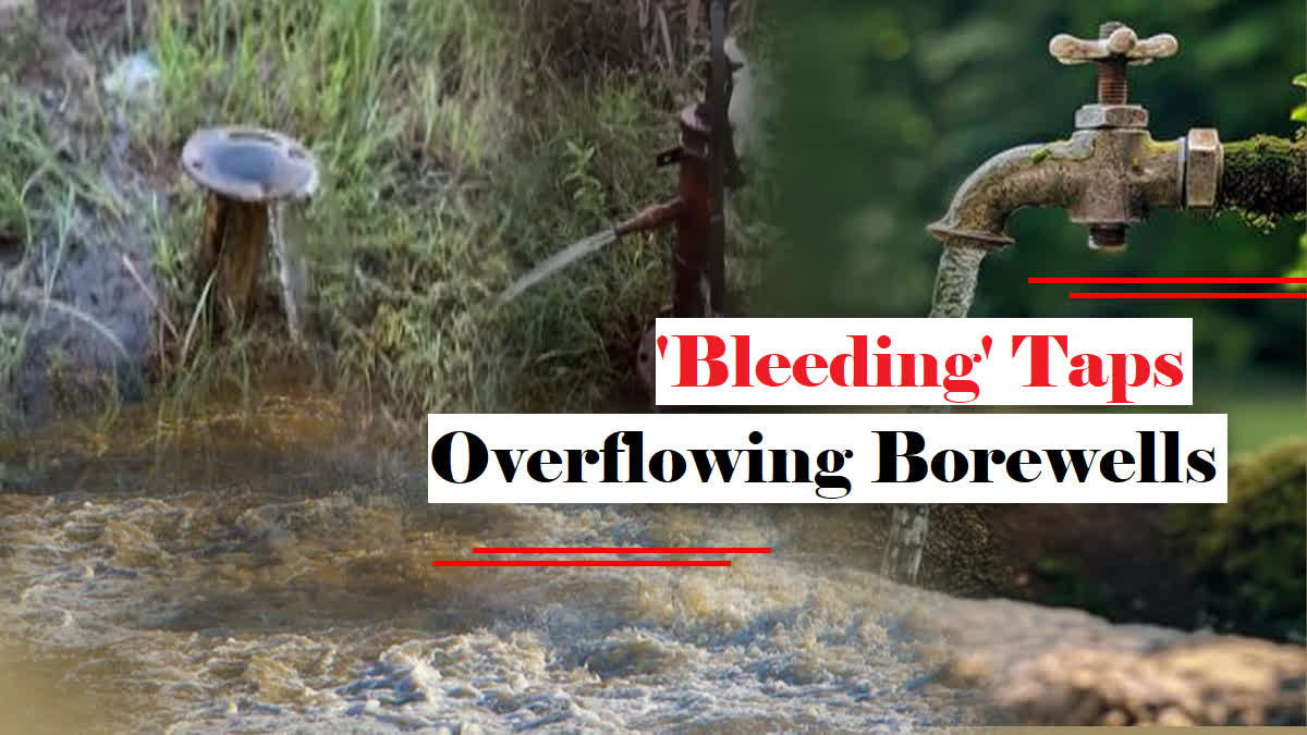 UP: Farmers Rejoice As Water Levels Rise, Overwhelming Taps And Borewells