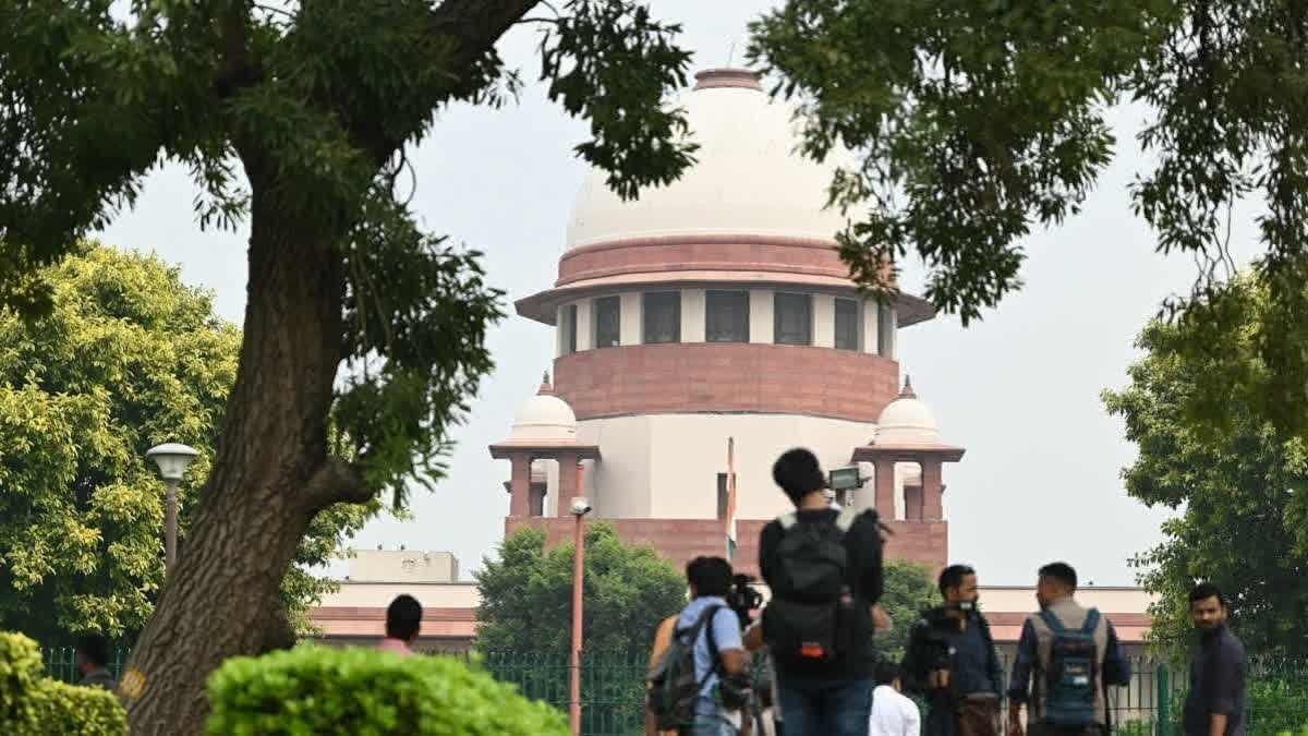 Stray Dogs Case: SC Refuses To Exempt Bihar Chief Secretary From ...