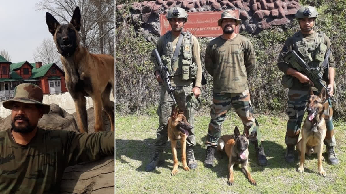 Canines In Control: Former Army Trainer From Odisha Builds K9 Security ...
