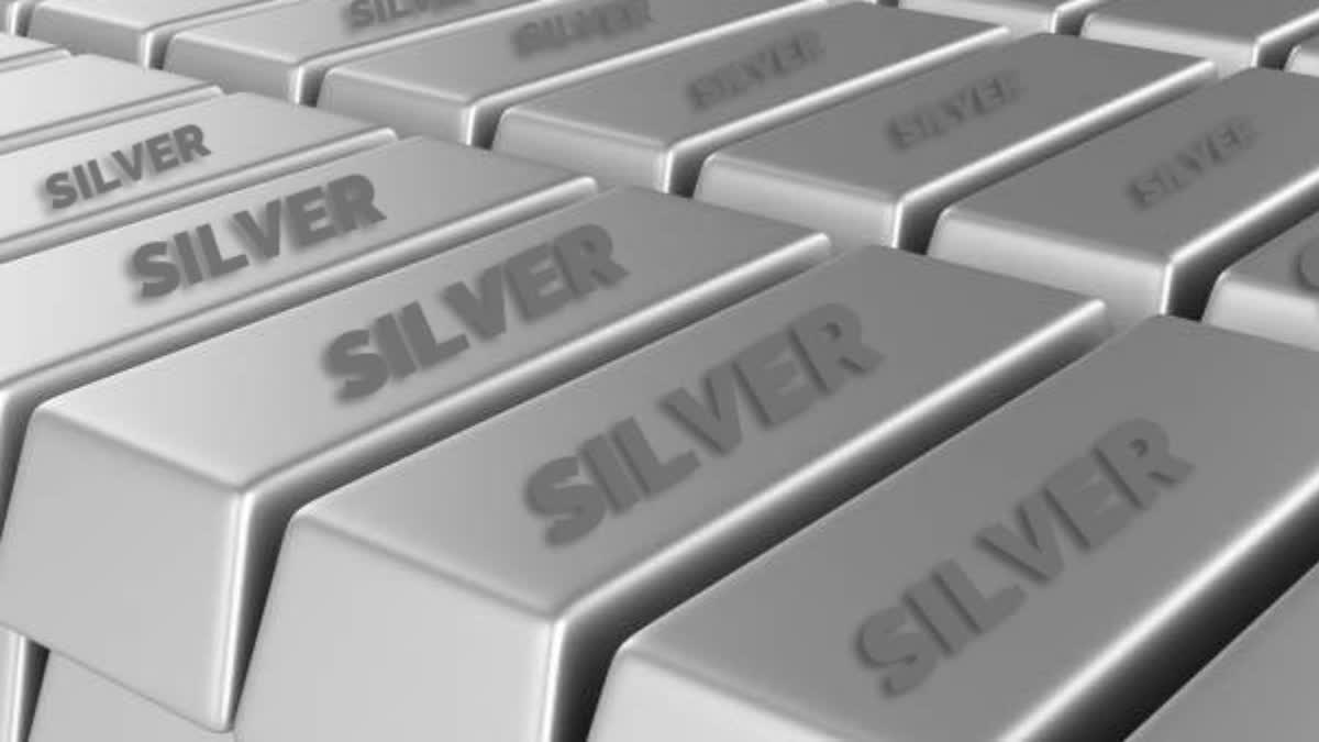 Silver Collapses 19 Pc To Rs 3.12 Lakh Per Kg As Strong Dollar Triggers ...