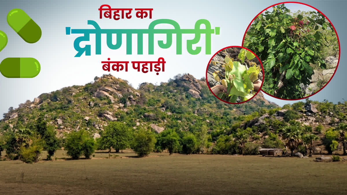 टूटी हड्डी से लेकर शुगर-लिवर का मुफ्त इलाज, बिहार की बंका पहाड़ी बनी ...