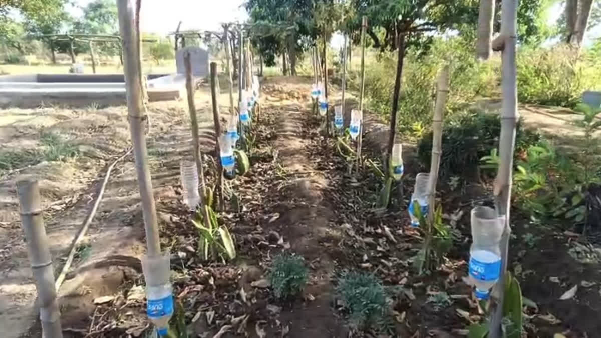 Women In Rural Shahdol Come Up With Innovative Use Of Discarded Plastic ...
