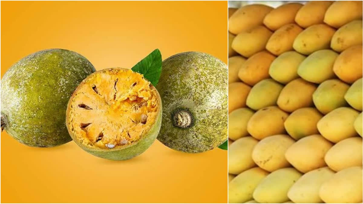 ମନ କି ବାତ୍; ଓଡିଶାର ବେଲ ପଣା, ସୁସ୍ୱାଦୁ ଆମ୍ବକୁ ପ୍ରଶଂସା କଲେ ପ୍ରଧାନମନ୍ତ୍ରୀ ମୋଦି