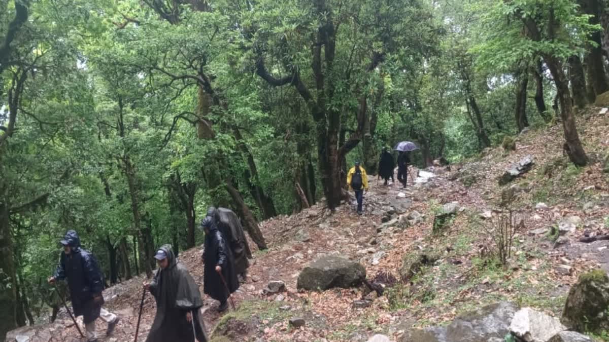 उत्तराखंड के दयारा बुग्याल ट्रेक से महिला ट्रेकर लापता, 3 दिनों से सर्च ...