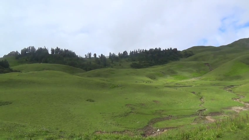 उत्तराखंड के दयारा बुग्याल ट्रेक से महिला ट्रेकर लापता, 3 दिनों से सर्च ...
