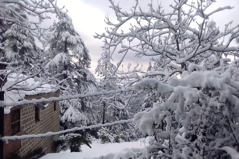 उत्तराखंड में बर्फबारी के आसार, बैकपैक कर सीधे चले आइए देवभूमि, 'जन्नत ...