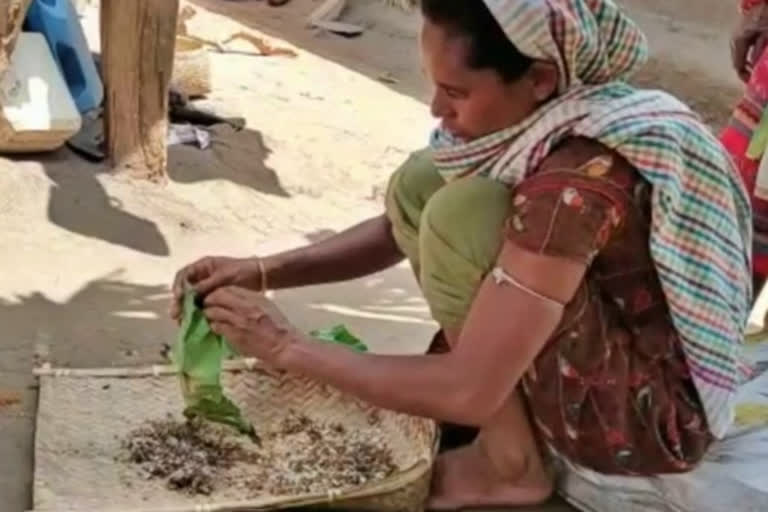 Red Ants Egg Pickle: Tribals favourite delicacy