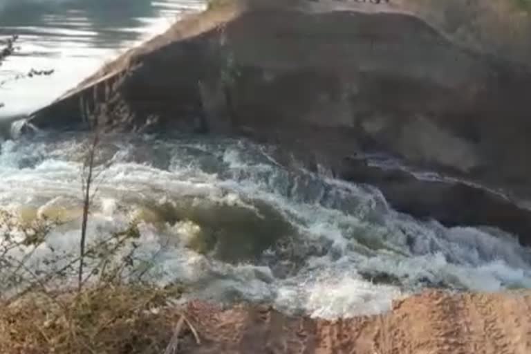 Ujani canal breaches in Maharashtra's Solapur; crops damaged, houses ...
