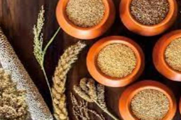 Millet Recipe: छत्तीसगढ़ मिलेट कार्निवाल का उद्घाटन आज, जानिए मिलेट्स ...